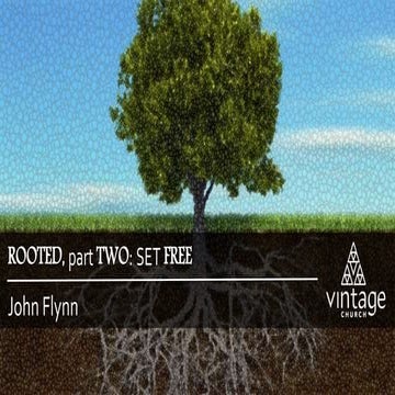 Rooted, part two: Set Free | PPT
