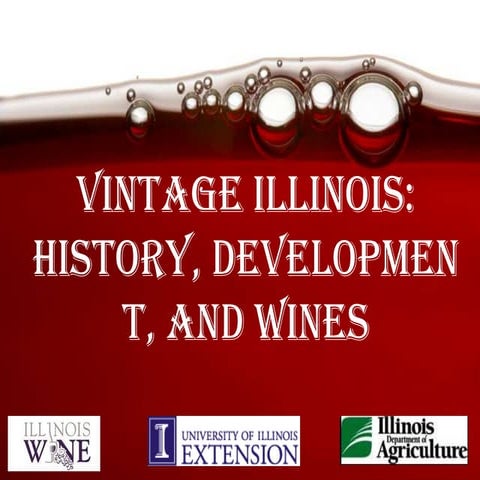 Vintage Illinois | PPT