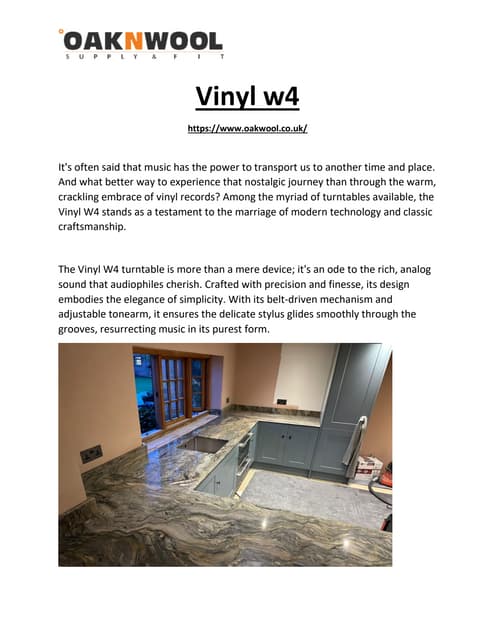 The Unexpected Resilience of Vinyl Records in the.pptx