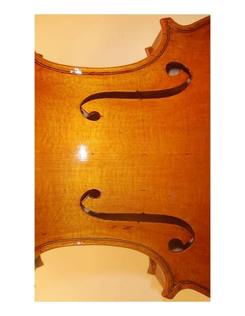 Violin "F" Hole | PDF