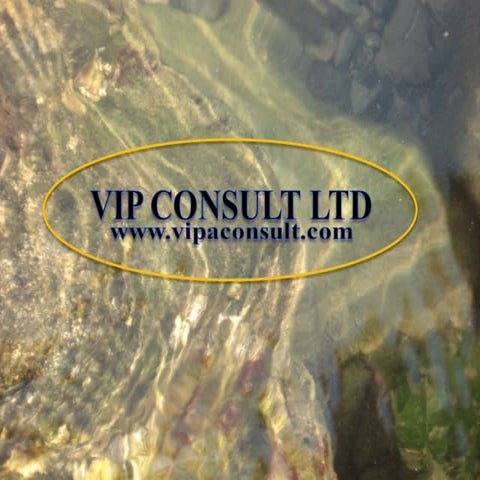 VIP CONSULT | PDF