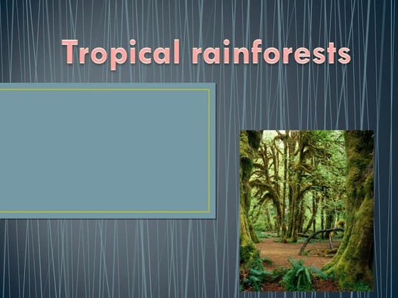 The Amazon Rainforest | PPTX | Geography | Science