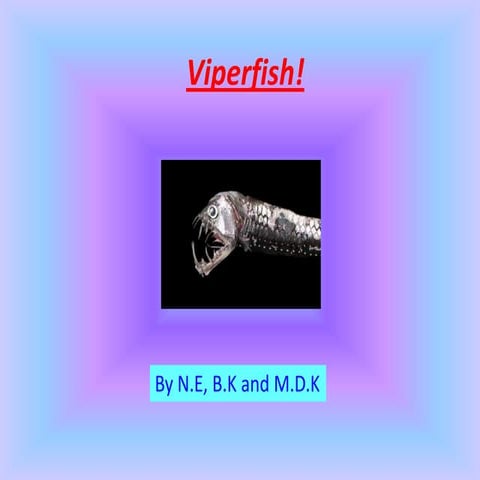 Viperfish! | PPTX | Fish and Aquariums | Pets