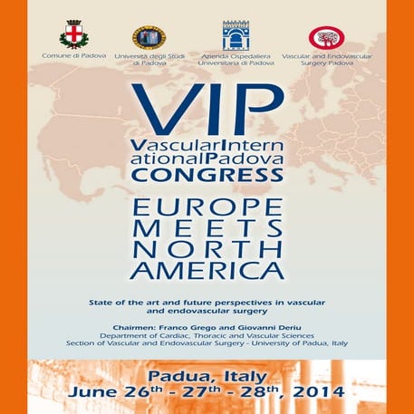 Vip preliminary program | PDF