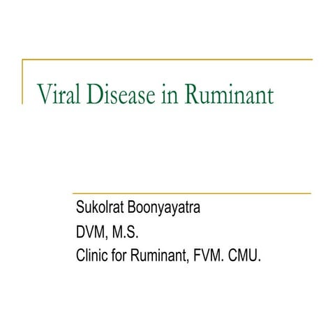 Viral diseases in ruminant | PDF