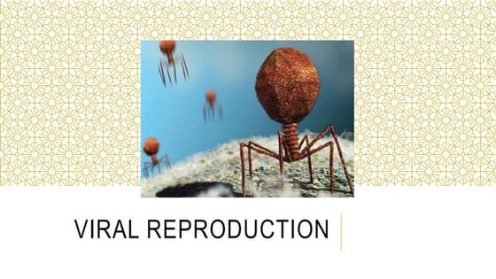 Viral replication | PPTX
