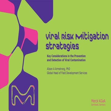 Viral Risk Mitigation Strategies: Key Considerations in the Prevention ...