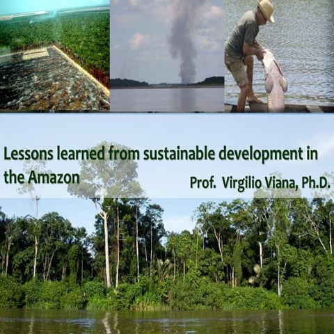 Lessons learned from sustainable development in the Amazon | PDF