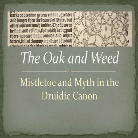 The Oak and the Weed: Mistletoe and Myth in the Druidic Canon | PPTX ...