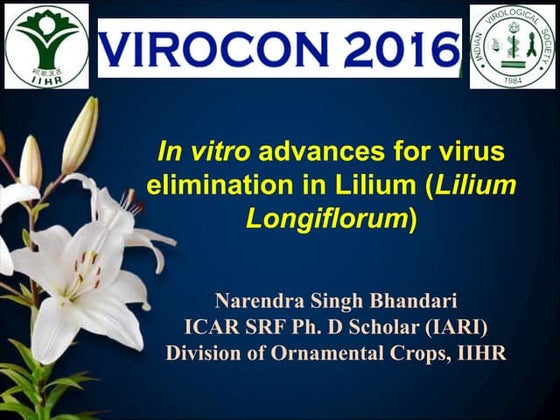 Virus free plants | PPT