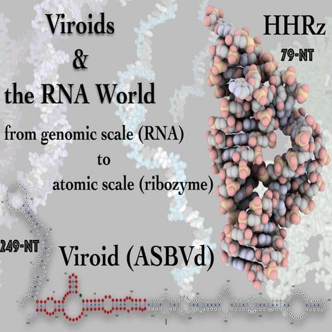 Viroids and the RNA World | PPT