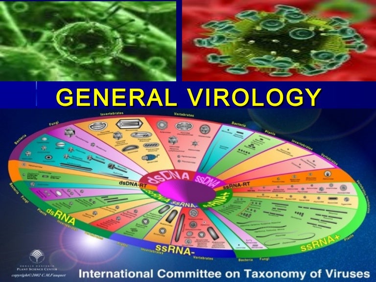 Virology - Prac. Microbiology