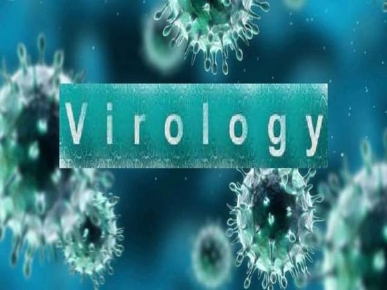 Entomopathogenic viruses | PPTX | Biological Sciences | Science