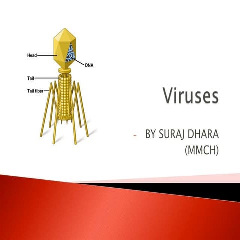 VIROLOGY | PPT