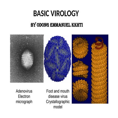 VIROLOGY.pptx is the study of virus 🦠🦟 infection in the body | PPTX
