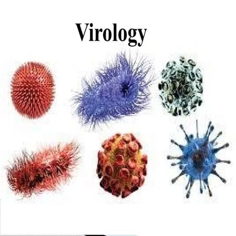 Virology.pptx virus classification nand methods slides | PPTX