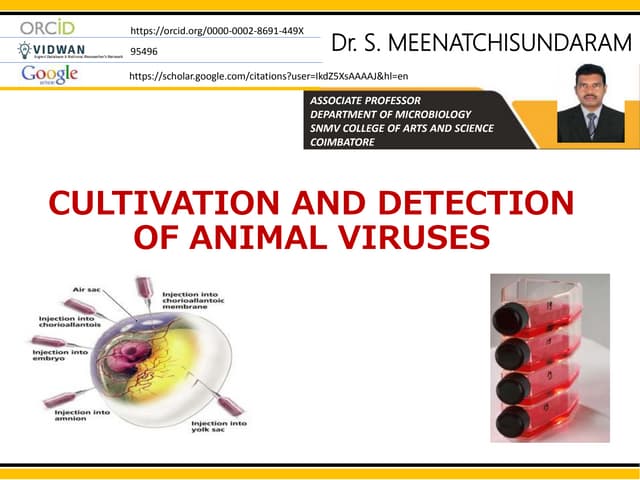 Cultivation of viruses | PPTX
