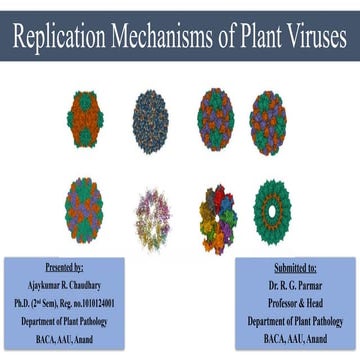 Mechanism of Replication in different plant virus.pptx