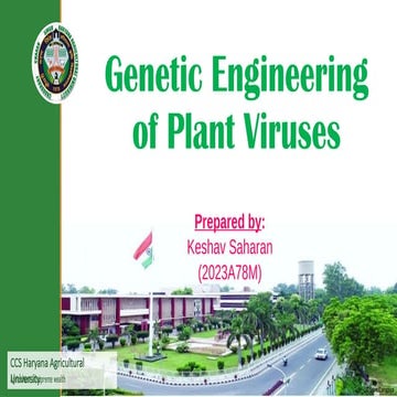 VIROLOGY assignment Keshav (2023A78M).pptx