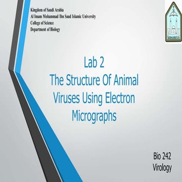 Structure of Animal Viruses | PPTX