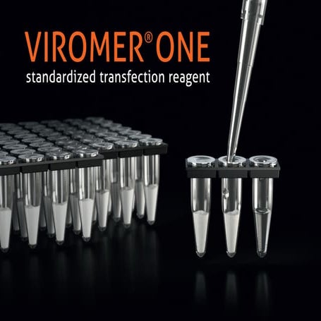 VIROMER® ONE RED - a standardized transfection reagent for plasmid DNA ...