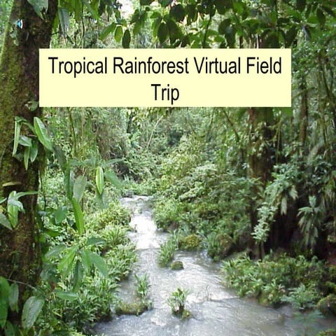 Virtual Field Trip | PPT