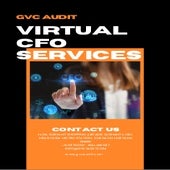 Virtual CFO Services in Gurgaon | PDF