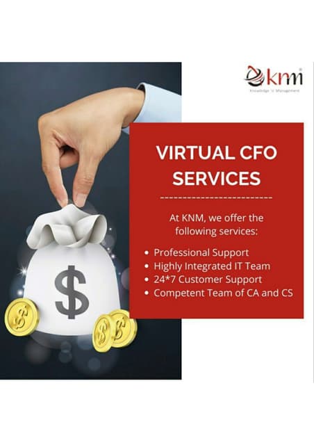 Virtual CFO India (1).pdf
