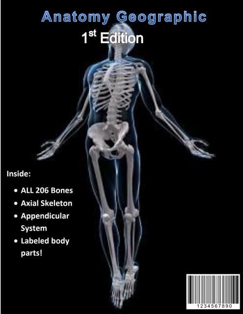 Bones artifact | PPT