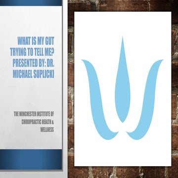 The Gut Health Workshop | PPTX