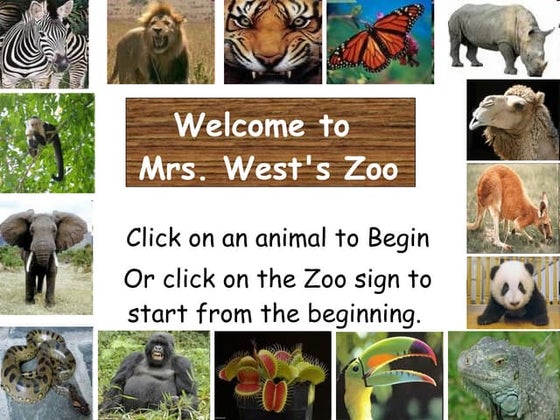 At The Zoo - Animals | PPT