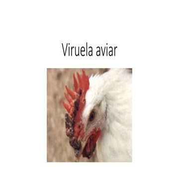 Viruela aviar.pptx
