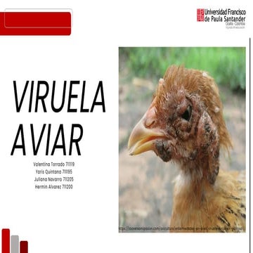 Viruela aviar: causas, síntomas, diagnóstico y medidas de prevención. | PDF