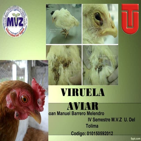 Viruela aviar seminario patologia aviar 2014 a mvz ut | PPT