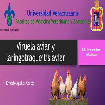 Viruela aviar y laringotraqueitis aviar- | PPTX