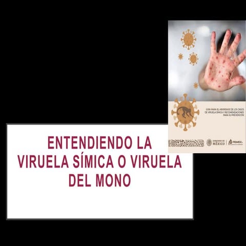 VIRUELA DEL MONO, QUE ES? definición , prevención | PPTX