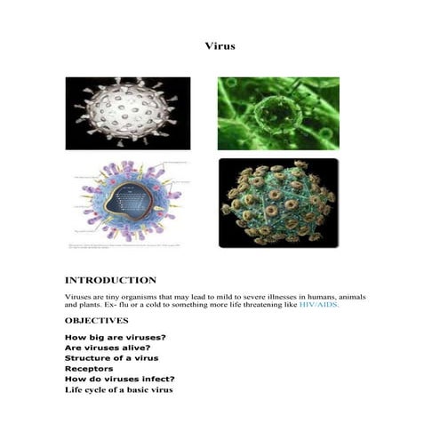 Viruses, bacteria, protists and fungi | PPTX