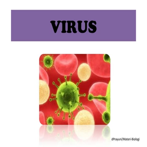Virus | PPT