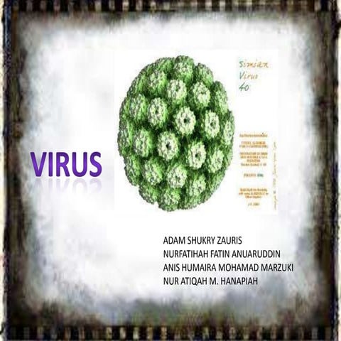 Virus | PPTX