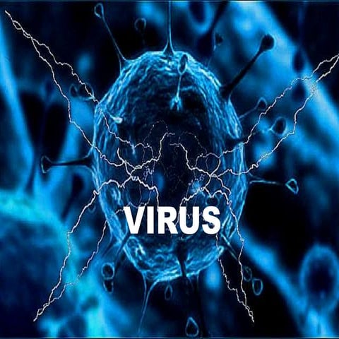 Virus Apocalypse | PPT