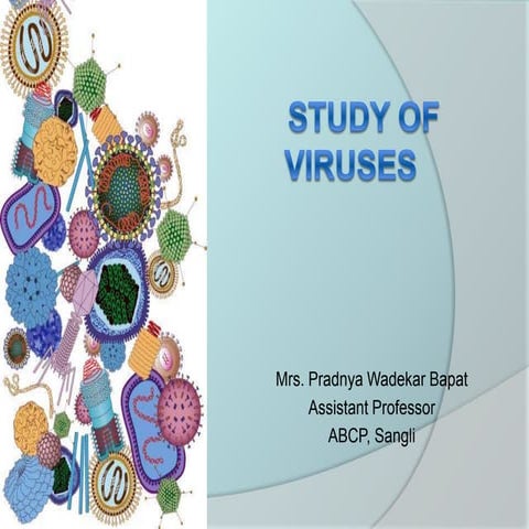 Virus | PPT