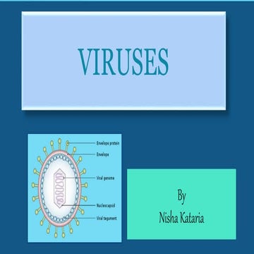 Viruses : characteristics, structure, reproduction , transmission and ...
