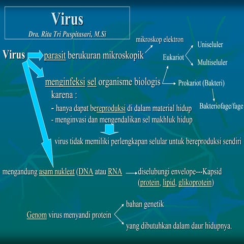 Virus | PPT