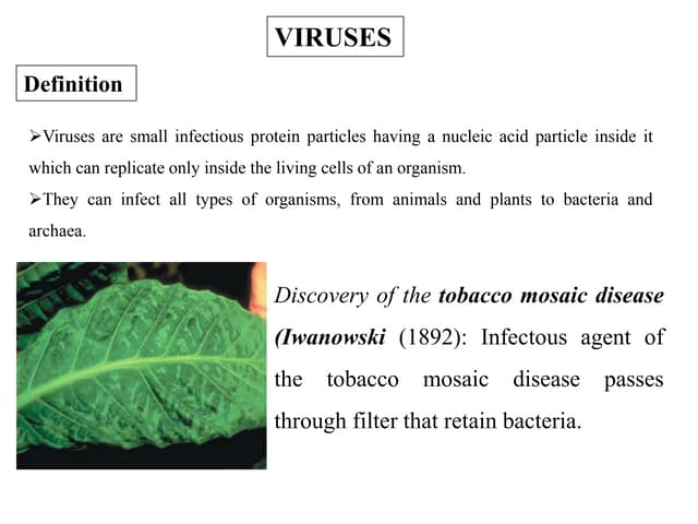 Viral Replication Pptx