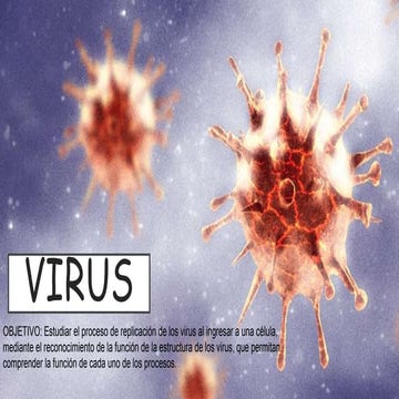 Virus replication (Replicación viral) (1).pdf
