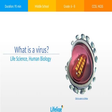 slides on viruses, introductory level slides | PPT