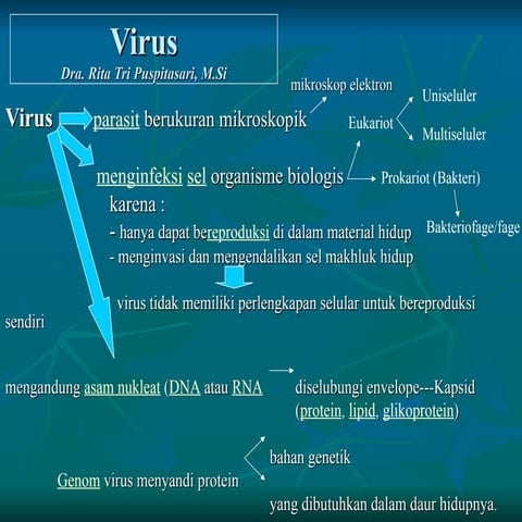 Virus_berbahaya_try to kill the virus.ppt