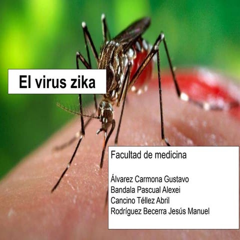 Virus el zika diapositiva | PPTX