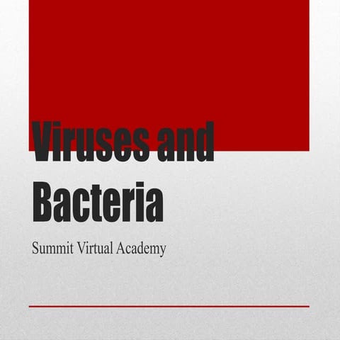 Virus and bacteria | PPT