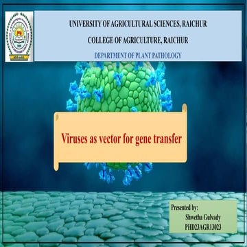 Plant viruses as vector for gene transfer | PPTX